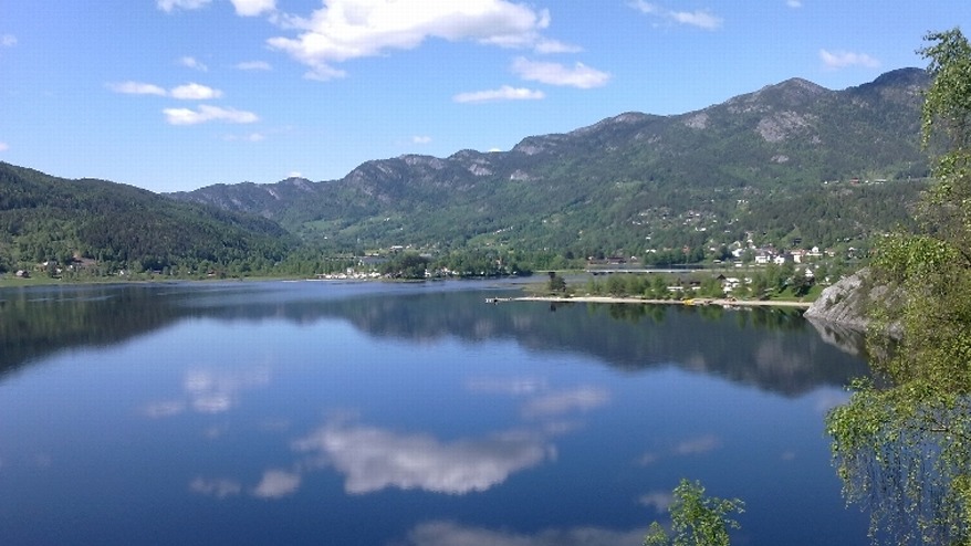 Seljord kommune, Seljord - Gule Sider